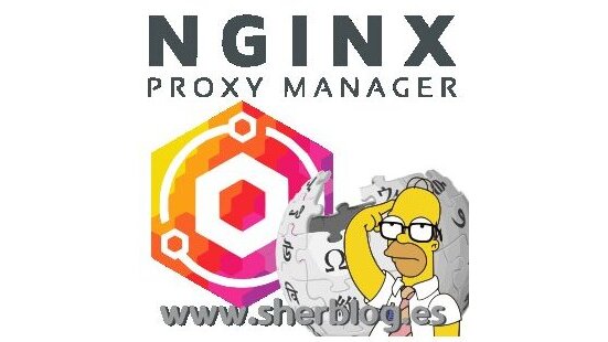 Configurar Nginx Proxy Manager en Ubuntu server - Sherblog